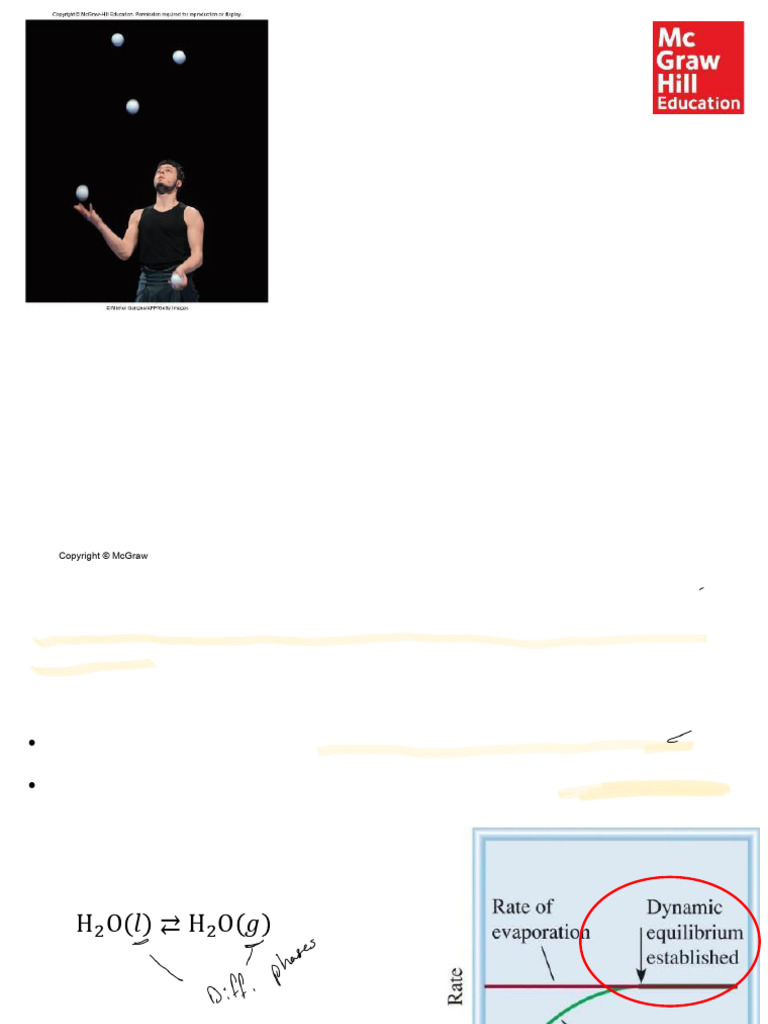 Understanding Chemical Equilibrium Concepts | PDF | Chemical ...
