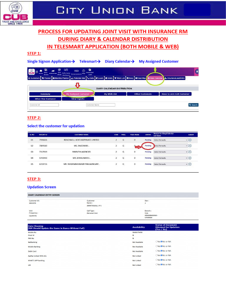 Update Joint Visit in Telesmart App | PDF