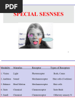 Common Ophthalmic Terminology Glossary | PDF | Eye | Human Eye