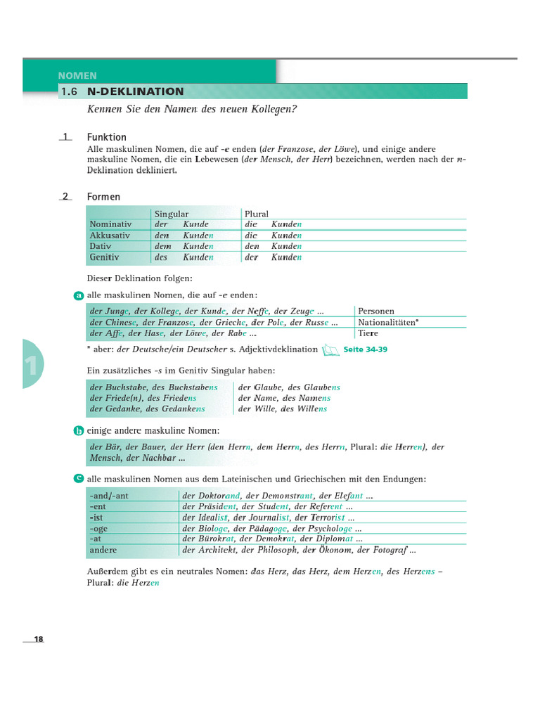 N Deklination | PDF
