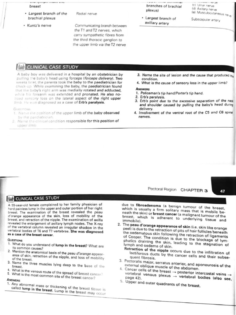 Case Study | PDF