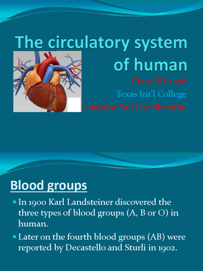 Circulatory system_Blood Groups | PDF | Blood Type | Animal Anatomy