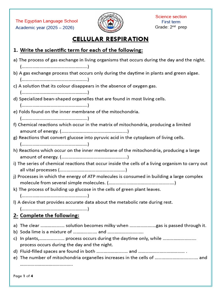 Work Sheet 9 - Cellular Respiration | PDF | Cellular Respiration ...