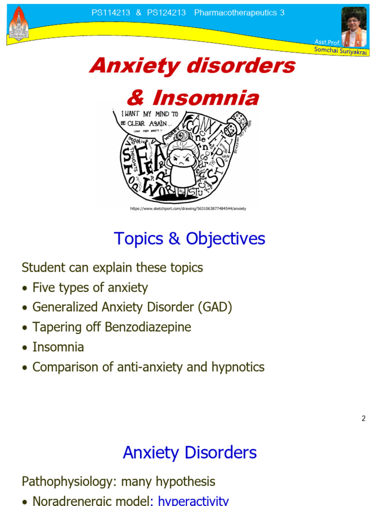 Slide Anxiety, Insomnia 2024 | PDF