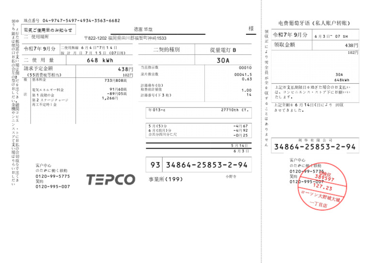 Japan Tepco Original (1) | PDF