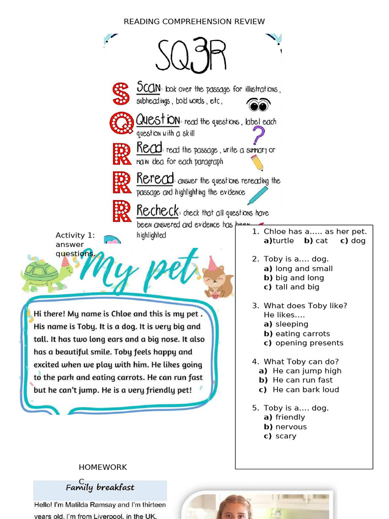 Reading Comprehension Review | PDF