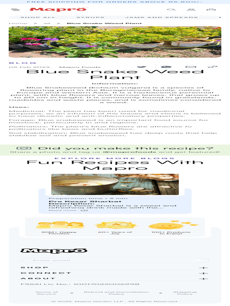 Blue Snake Weed Plant Overview | PDF | Horticulture | Organisms