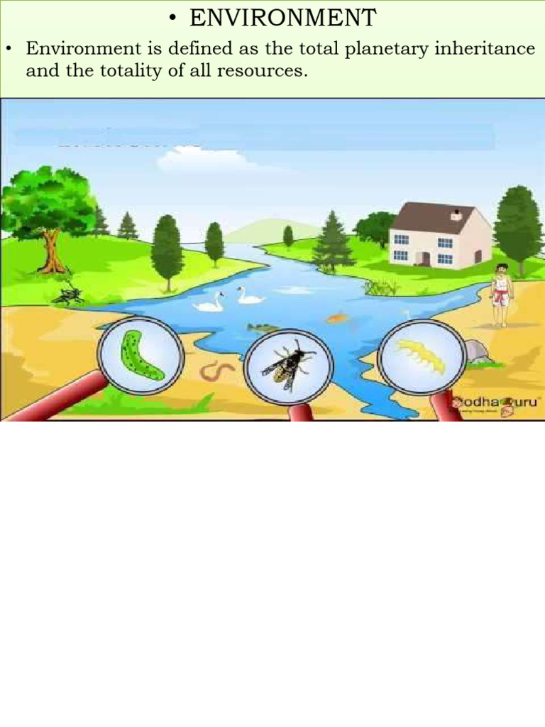 Environment (1) | PDF | Natural Environment | Pollution