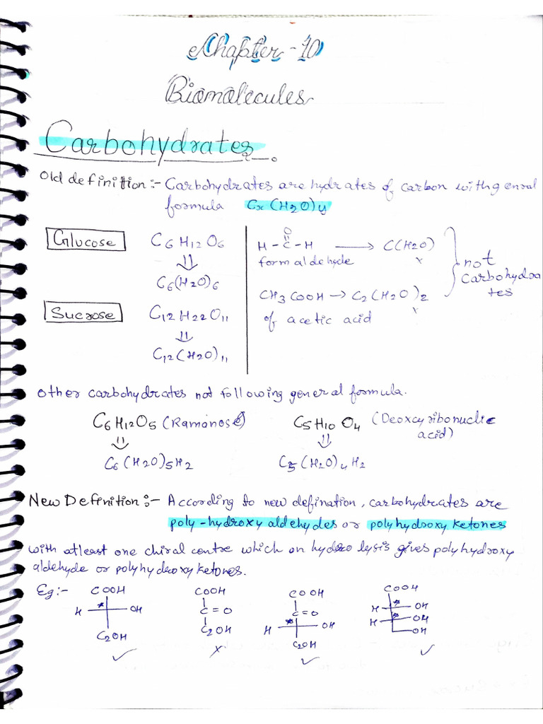 My Biomolecules Notes | PDF