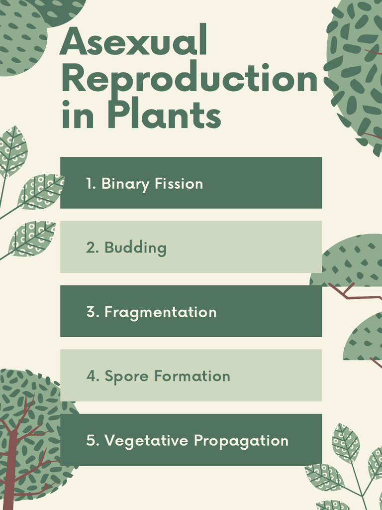 Asexual Reproduction Methods in Plants | PDF