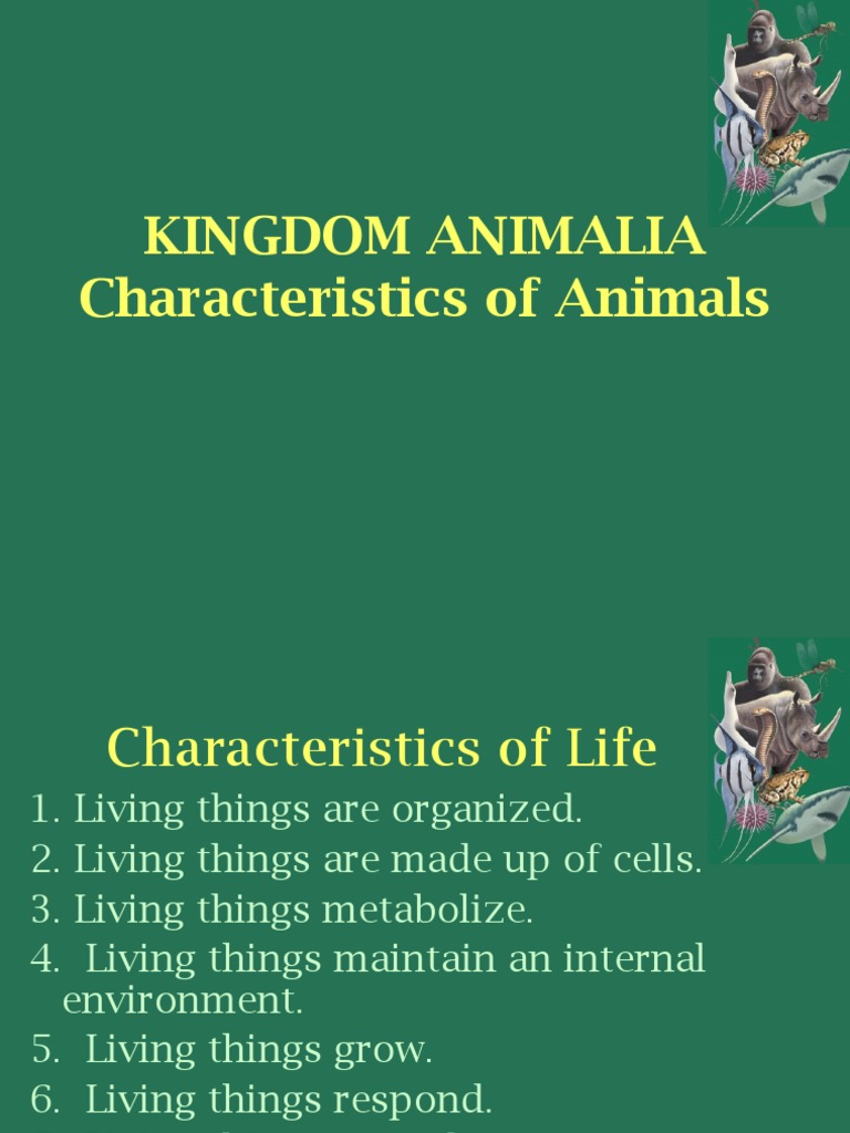 Kingdom Animalia Characteristics of Animals | PDF | Cell (Biology) | Life