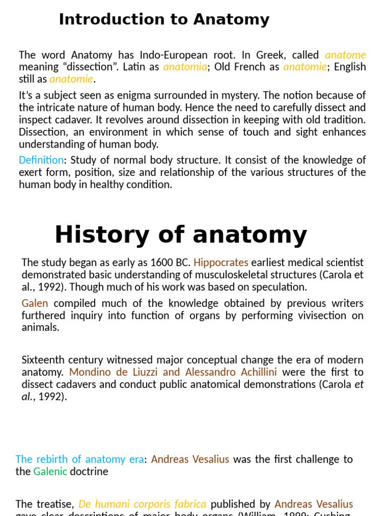 Lecture 1, Anatomy. | PDF | Anatomical Terms Of Location | Anatomy