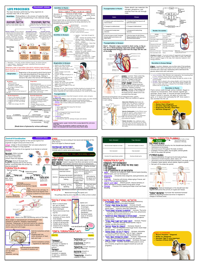 Cheat Notes - Life Processes (Prashant Kirad) (13 Files Merged) | PDF ...