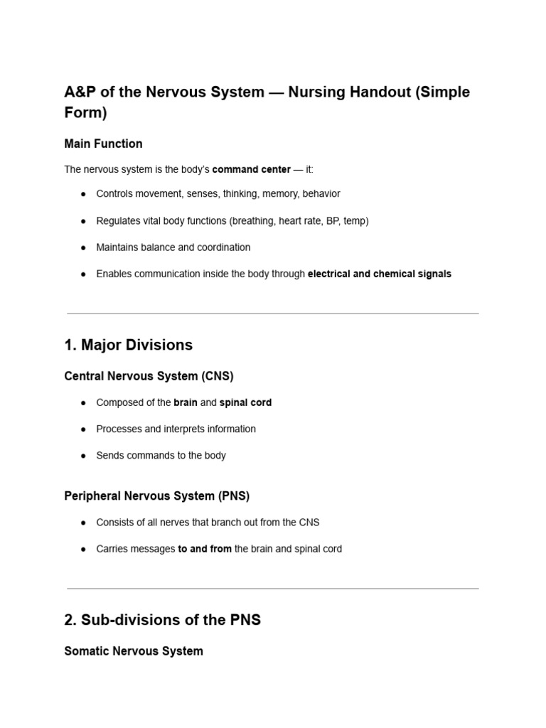 AP of The Nervous System Nursing Handout Simple Form | PDF | Central ...