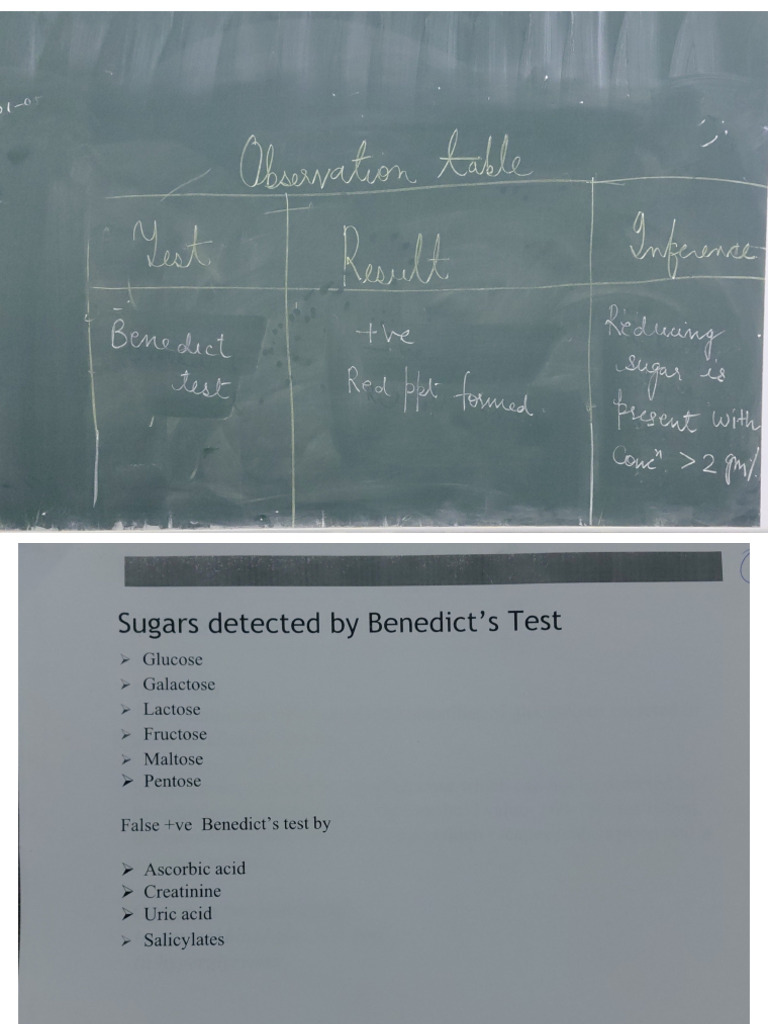 Benedict Test | PDF