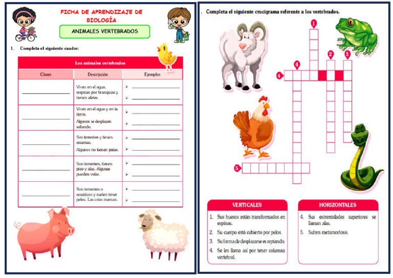 Practica de Animales Vertebrados | PDF