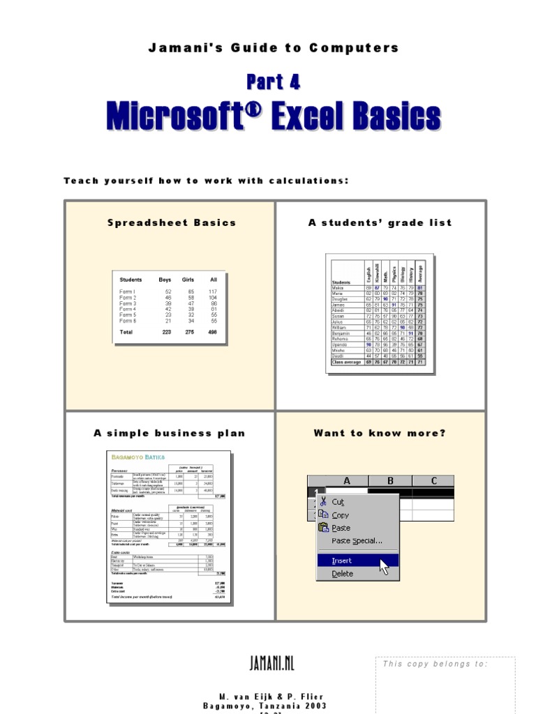 Excel Basics | PDF