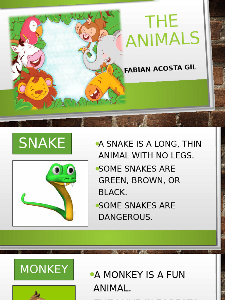 The Animals | PDF