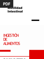 Reflejos Digestivos: Gastroileal e Ileocólico | PDF