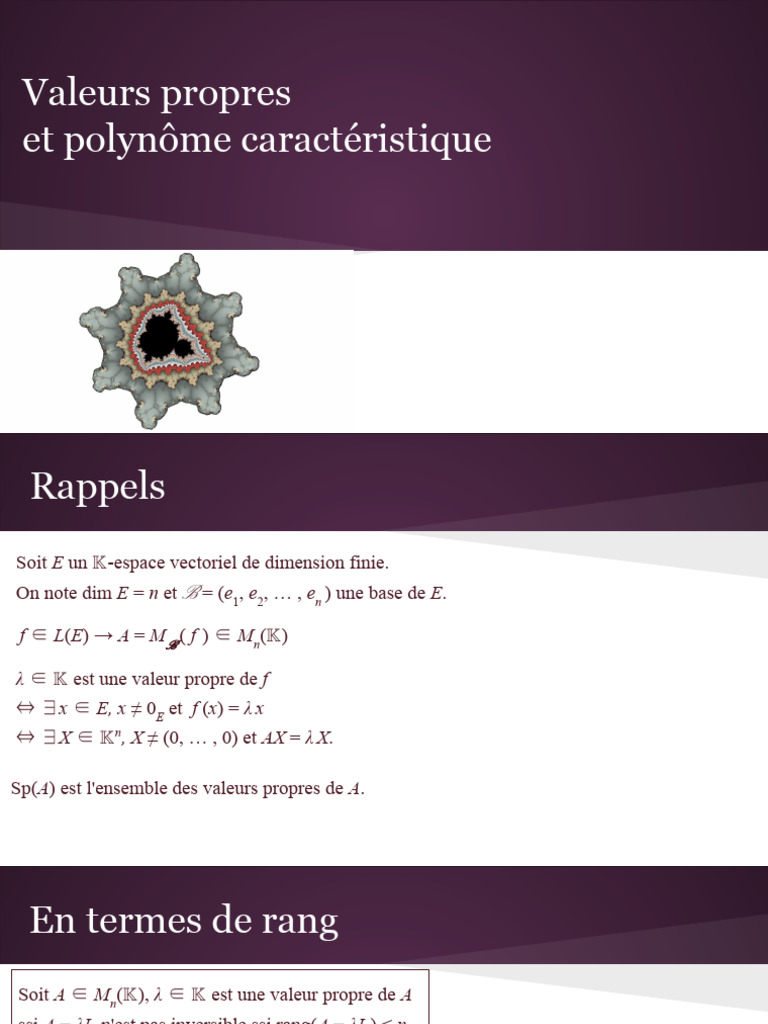 Valeurs Propres et Polynôme Caractéristique | PDF | Zéro d'une fonction ...