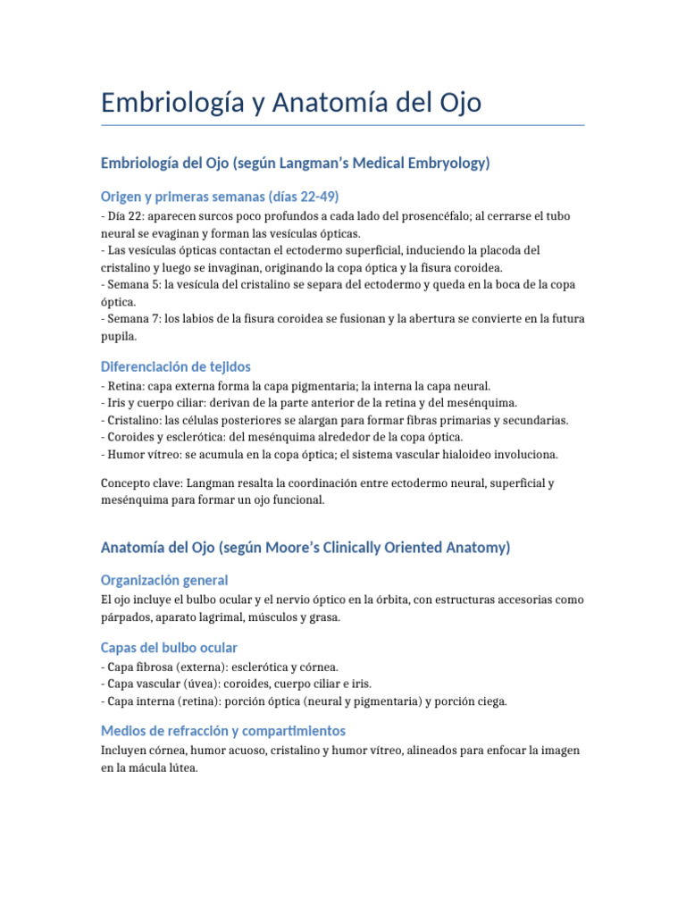 Embriología y Anatomía del Ojo | PDF | Ojo humano | Rasgos faciales