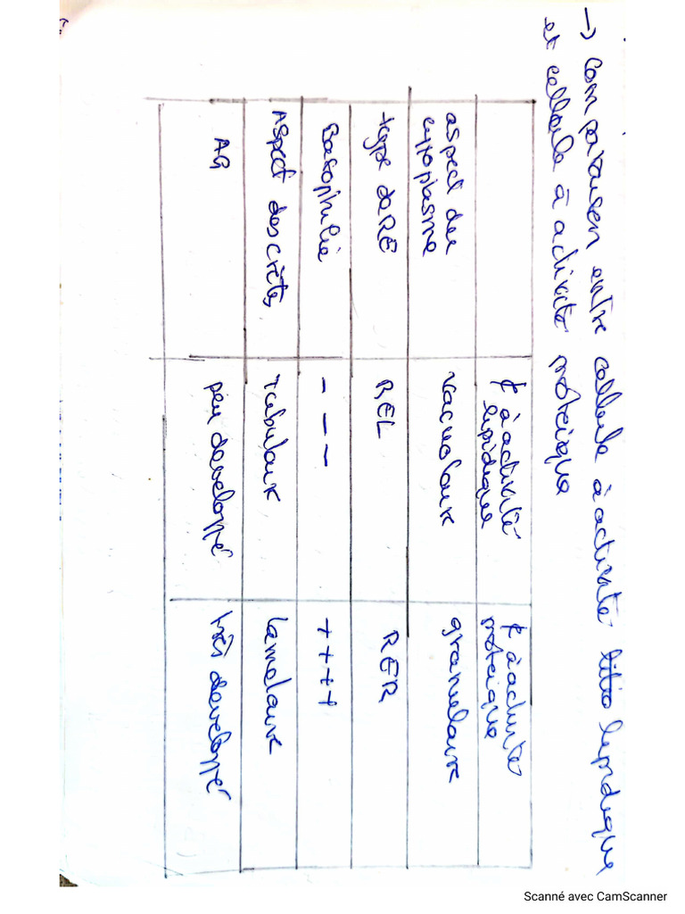 Tableau de Comparaison | PDF