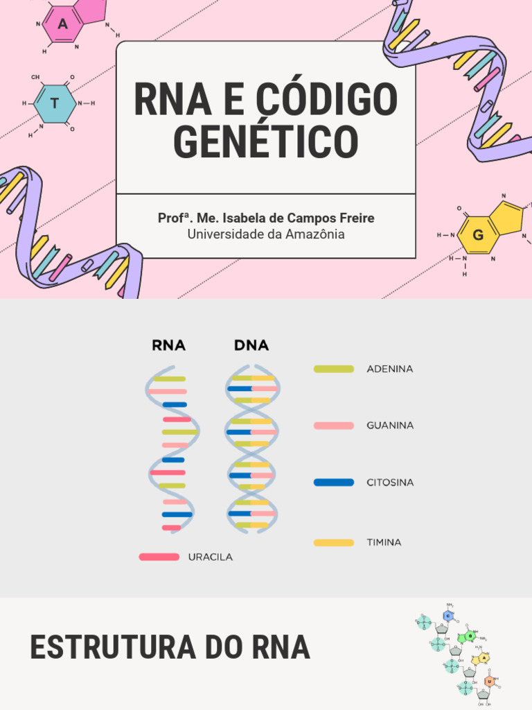 Estrutura e Funções do RNA | PDF | RNA | Tradução (Biologia)