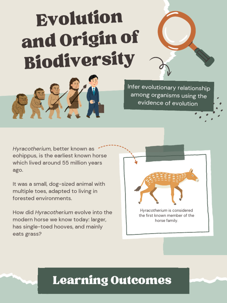 The Evidence for Evolution Education Presentation in Light Blue Style ...