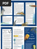 Crystallized Seadragon - Official Fisch Wiki | PDF | Fish And Humans ...