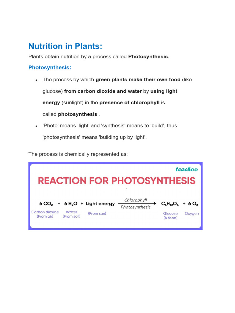 Nutrition in Plants | PDF | Photosynthesis | Stoma