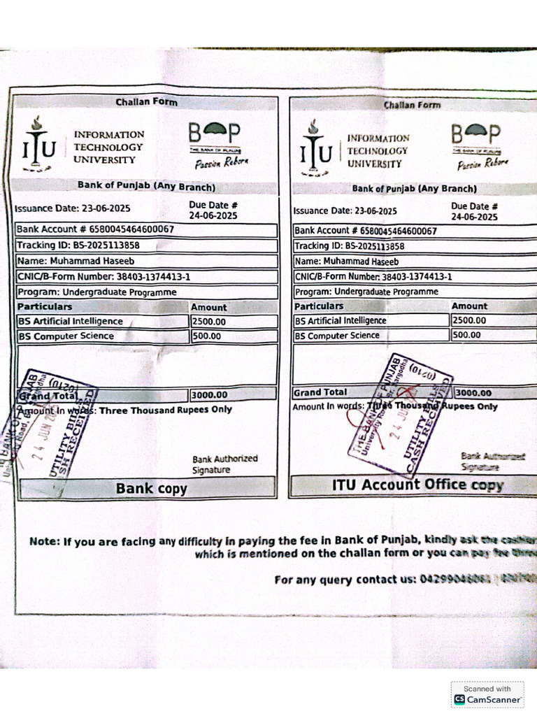 Challan | PDF