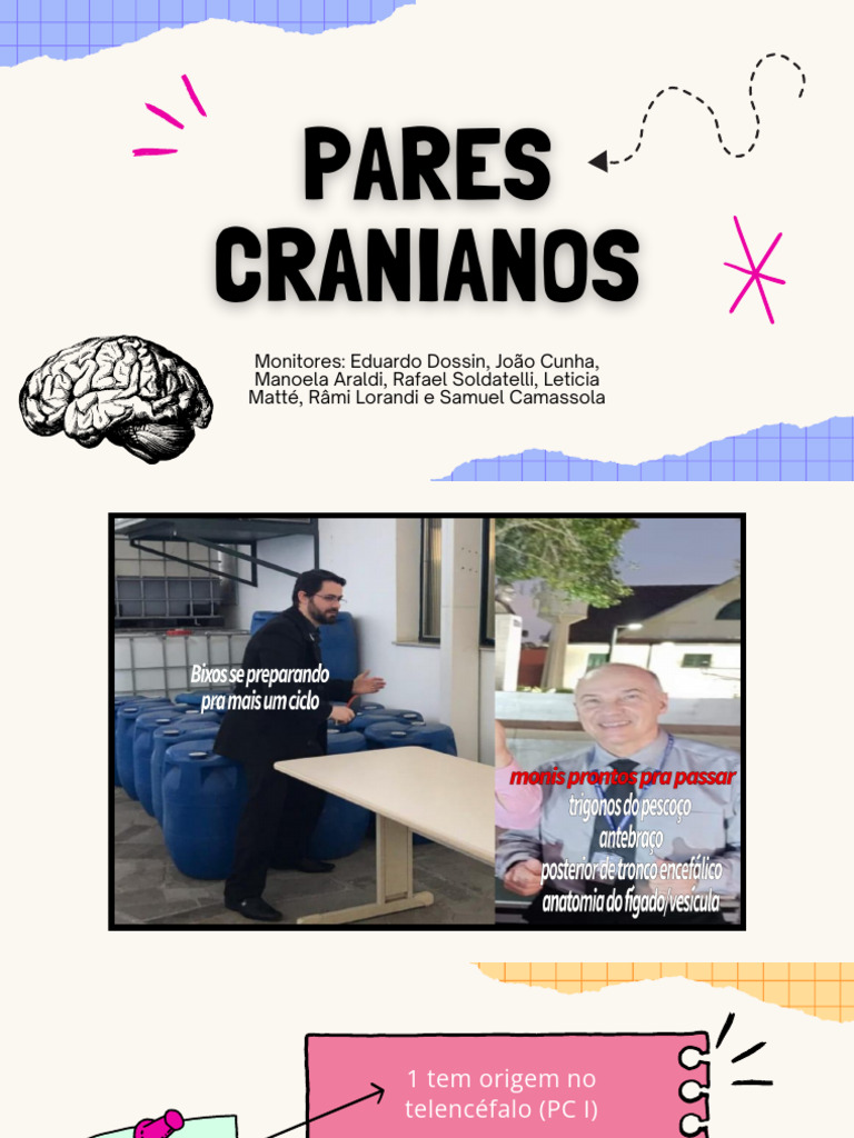 Pares Cranianos UCS 2 | PDF | Cabeça e pescoço humano | Neuroanatomia