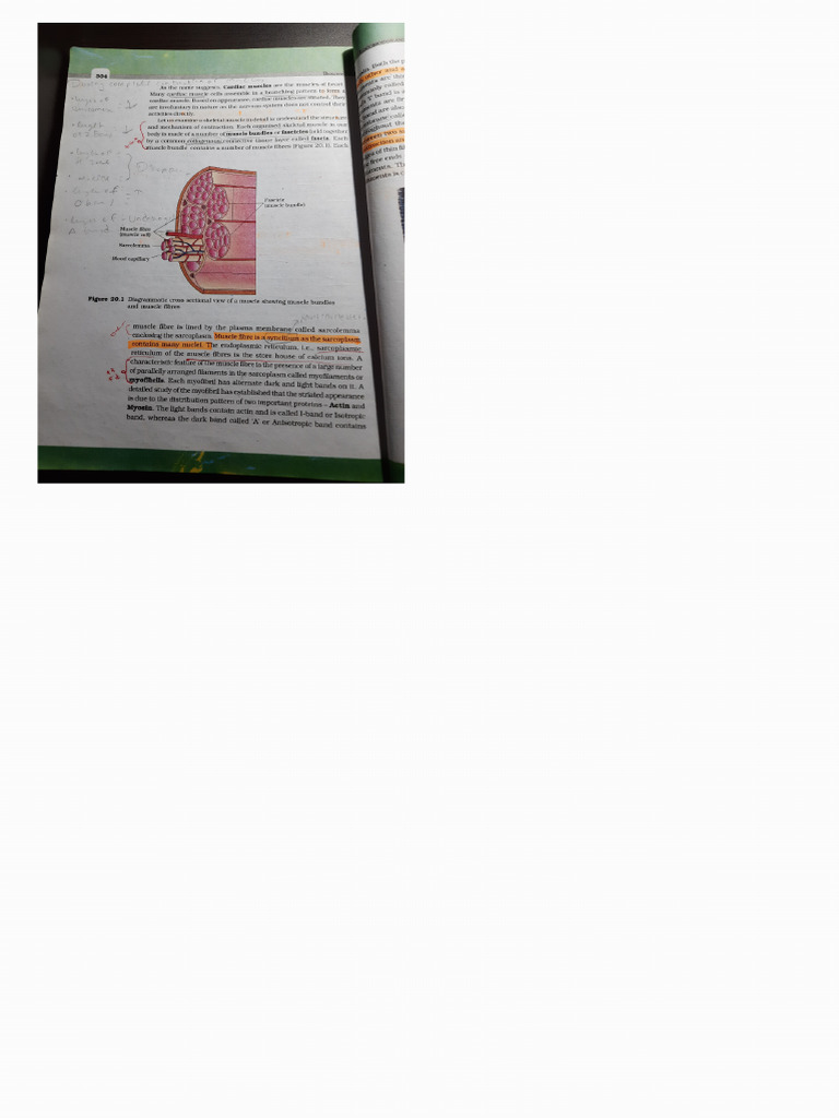 My Notes Special Fas Warfare - 251218 - 104802 | PDF