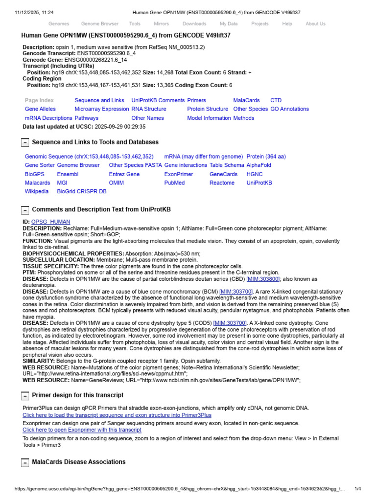 Human Gene OPN1MW (ENST00000595290.6 - 4) From GENCODE V49lift37 | PDF ...