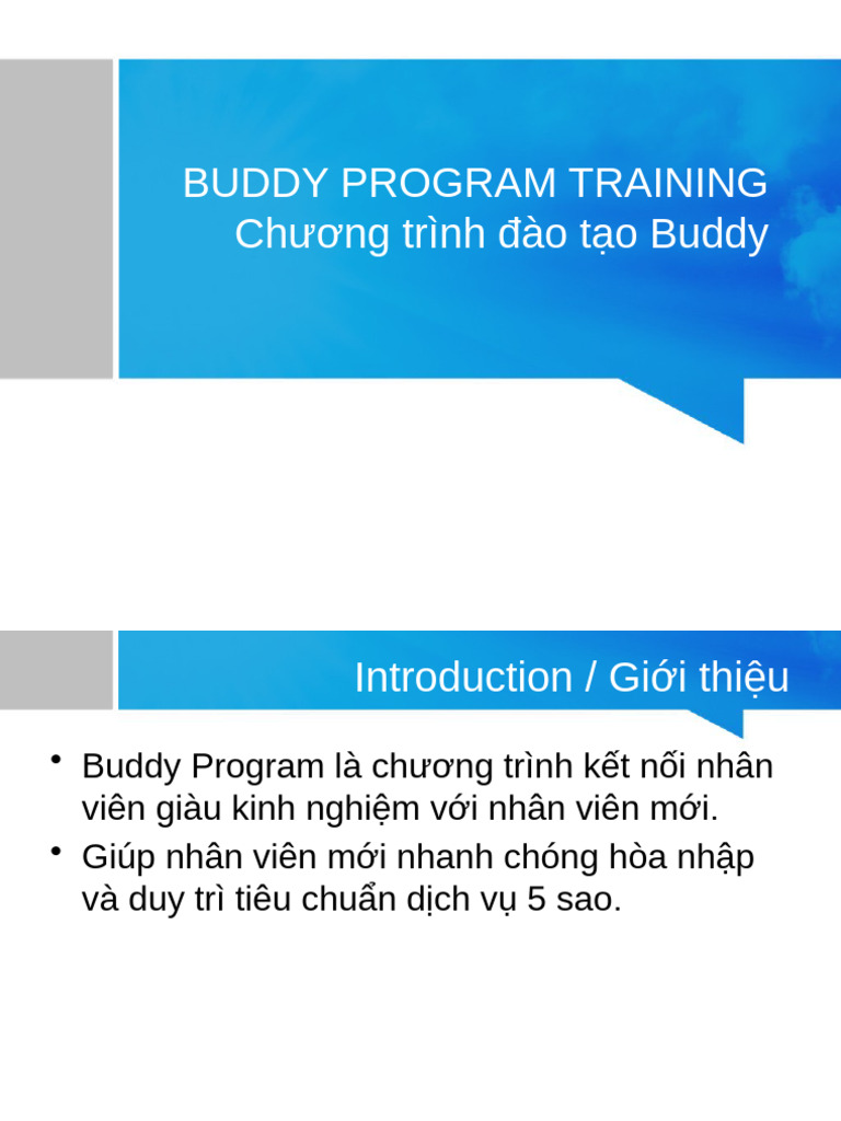 Buddy Program Training | PDF