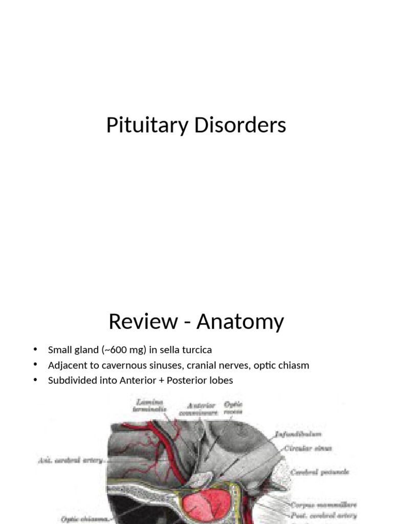 Overview of Pituitary Disorders and Treatments | PDF | Growth Hormone ...