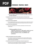 Interpreting IDEXX ProCyte Dx Dot Plots | PDF | White Blood Cell ...