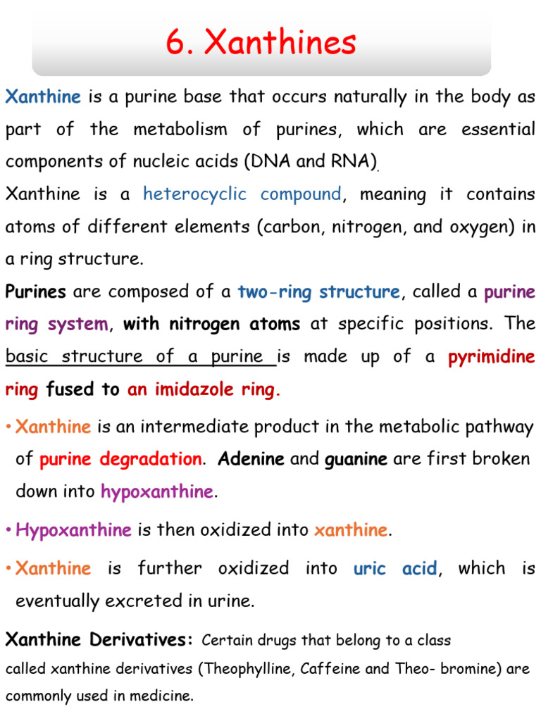 Understanding Xanthines and Their Uses | PDF | Caffeine | Vasodilation