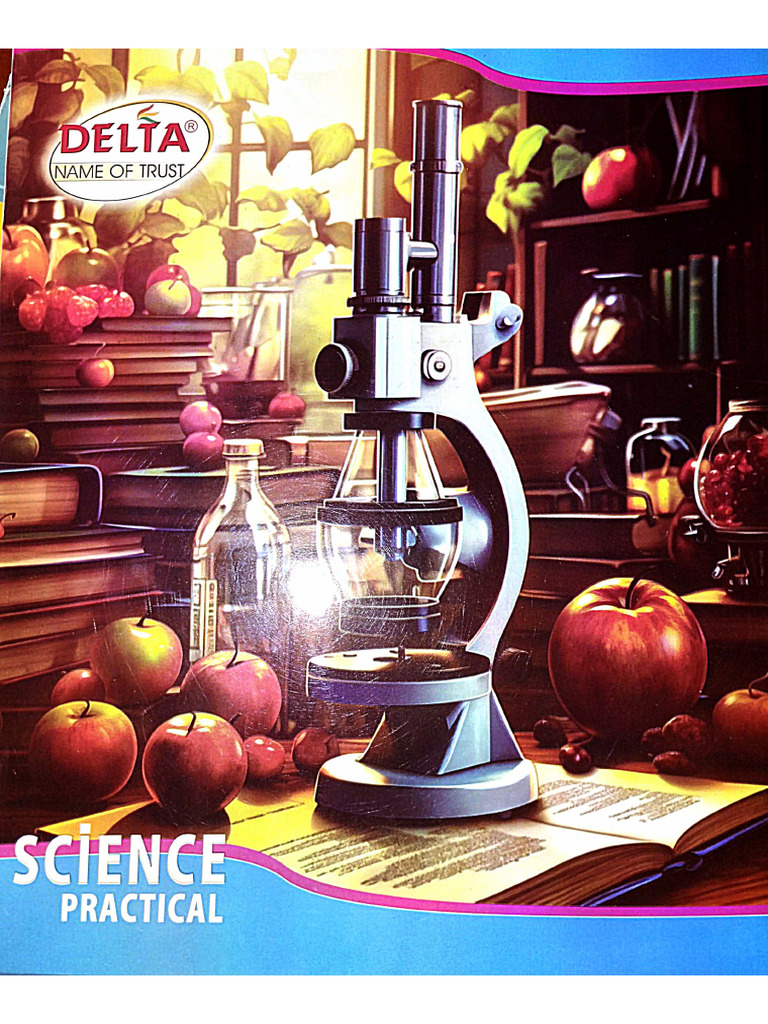 Physics Activity File | PDF