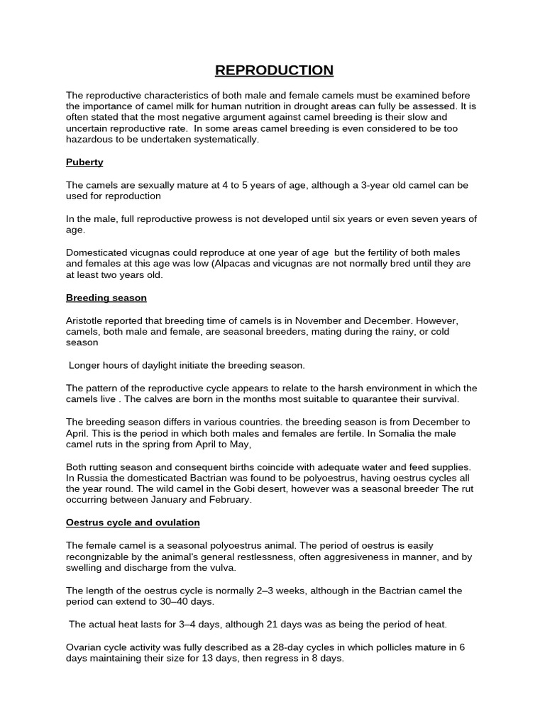 REPRODUCTION in Camels Lssn3 | PDF | Menstrual Cycle | Sexual Reproduction