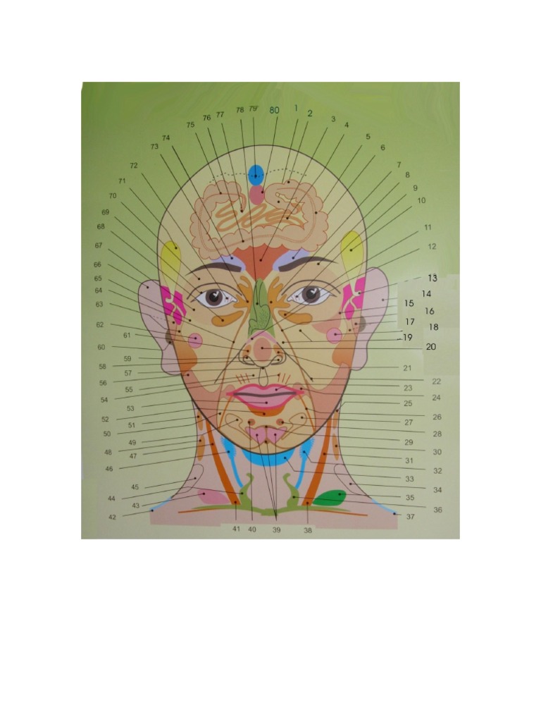 Face Reading Diagnostic | PDF | Kidney | Stomach