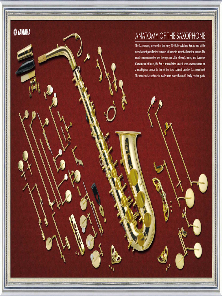 Anatomy of Rthe SAX | PDF