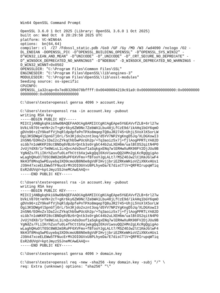 Win64 OpenSSL Command Prompt | PDF | Application Layer Protocols ...
