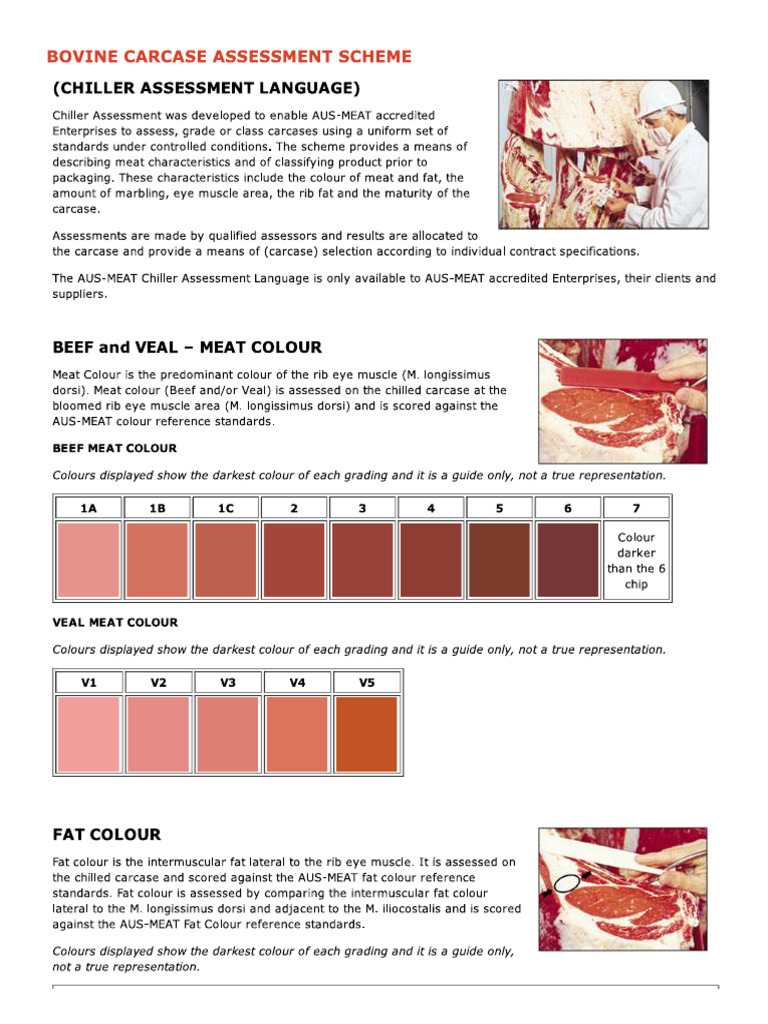 Bovine Carcase Assessment Scheme | PDF
