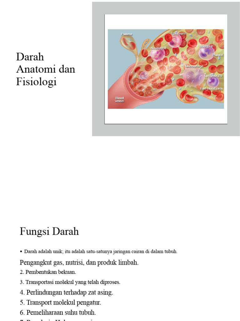 Fungsi dan Komponen Darah Manusia | PDF