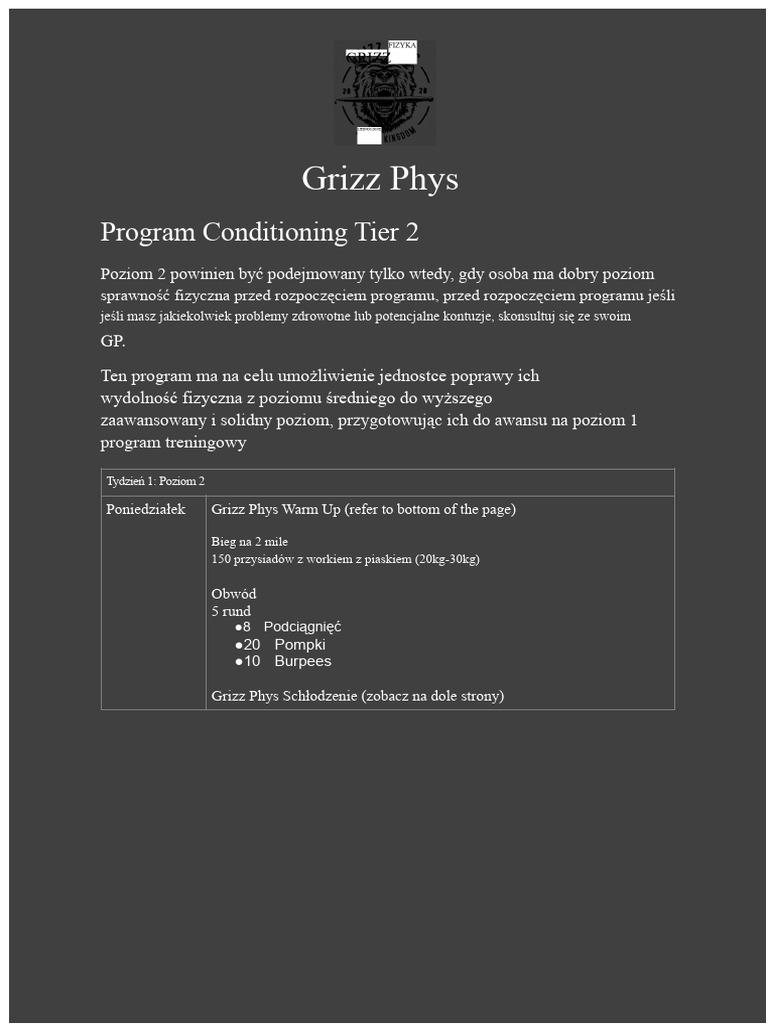 Grizz Phys Poziom 2 PDF | PDF