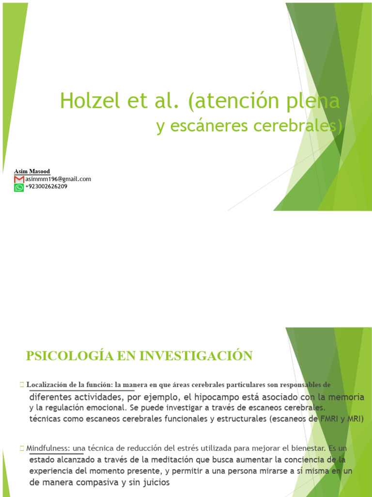Holzel Et Al | PDF | Cerebro | Neurona