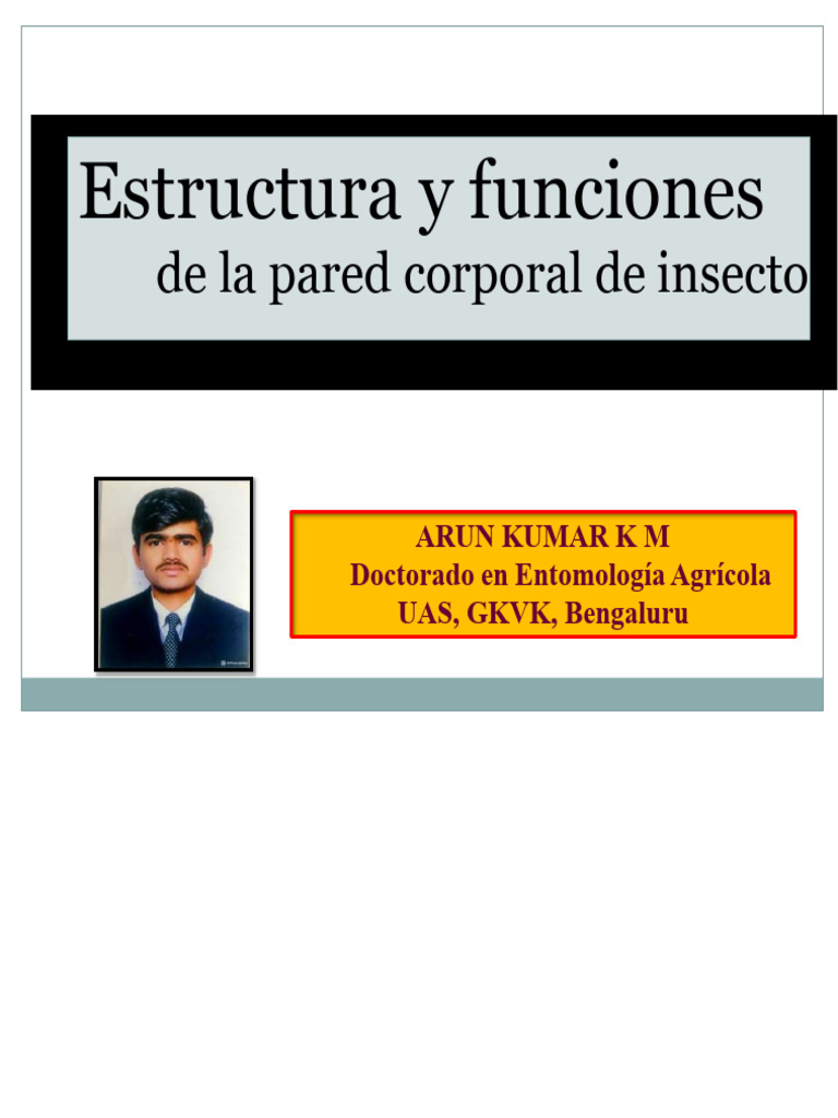 Estructura y funciones del exoesqueleto insecto | PDF | Anatomía