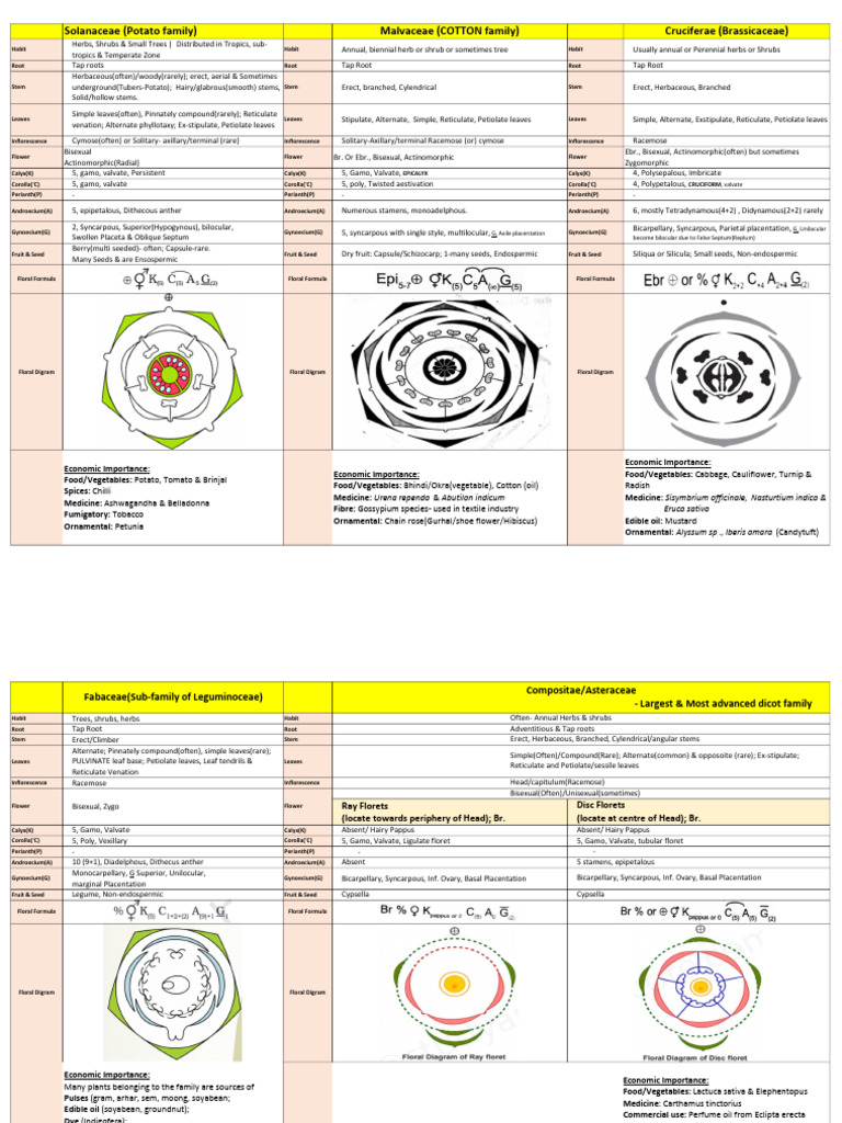 Plant Families: Characteristics & Uses | PDF | Leaf | Petal