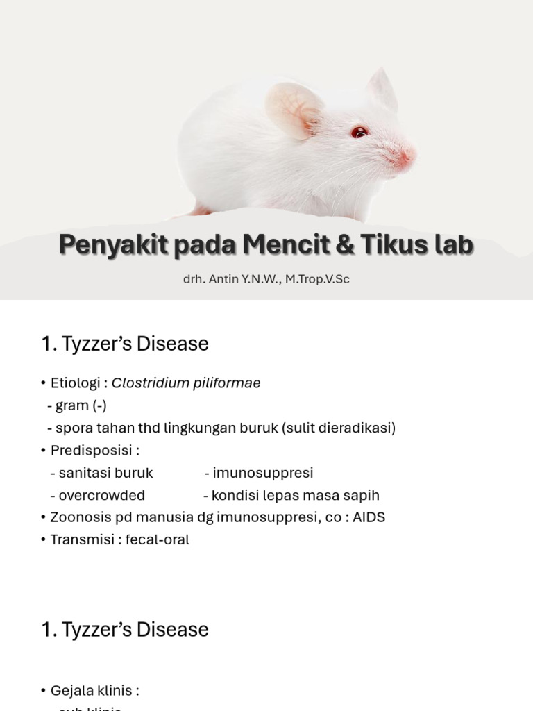 Penyakit Umum Mencit dan Tikus Lab | PDF
